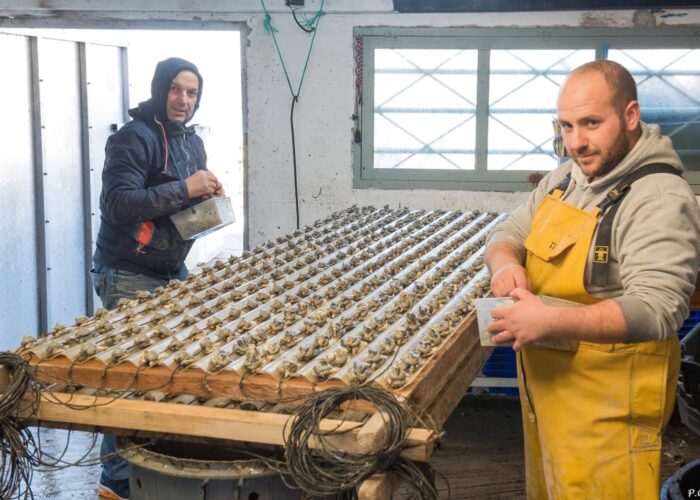 Mas Henri - Mas Henri