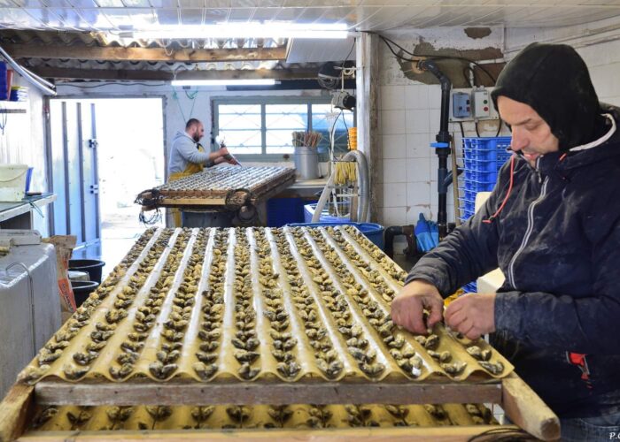 Mas Henri - Mas Henri