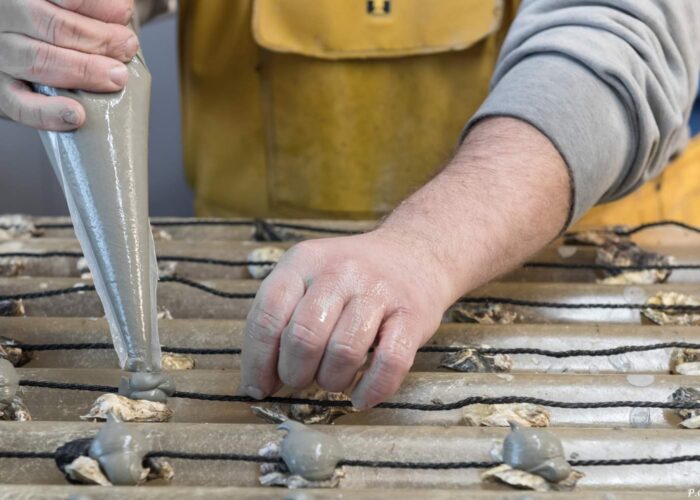 Mas Henri - Mas Henri